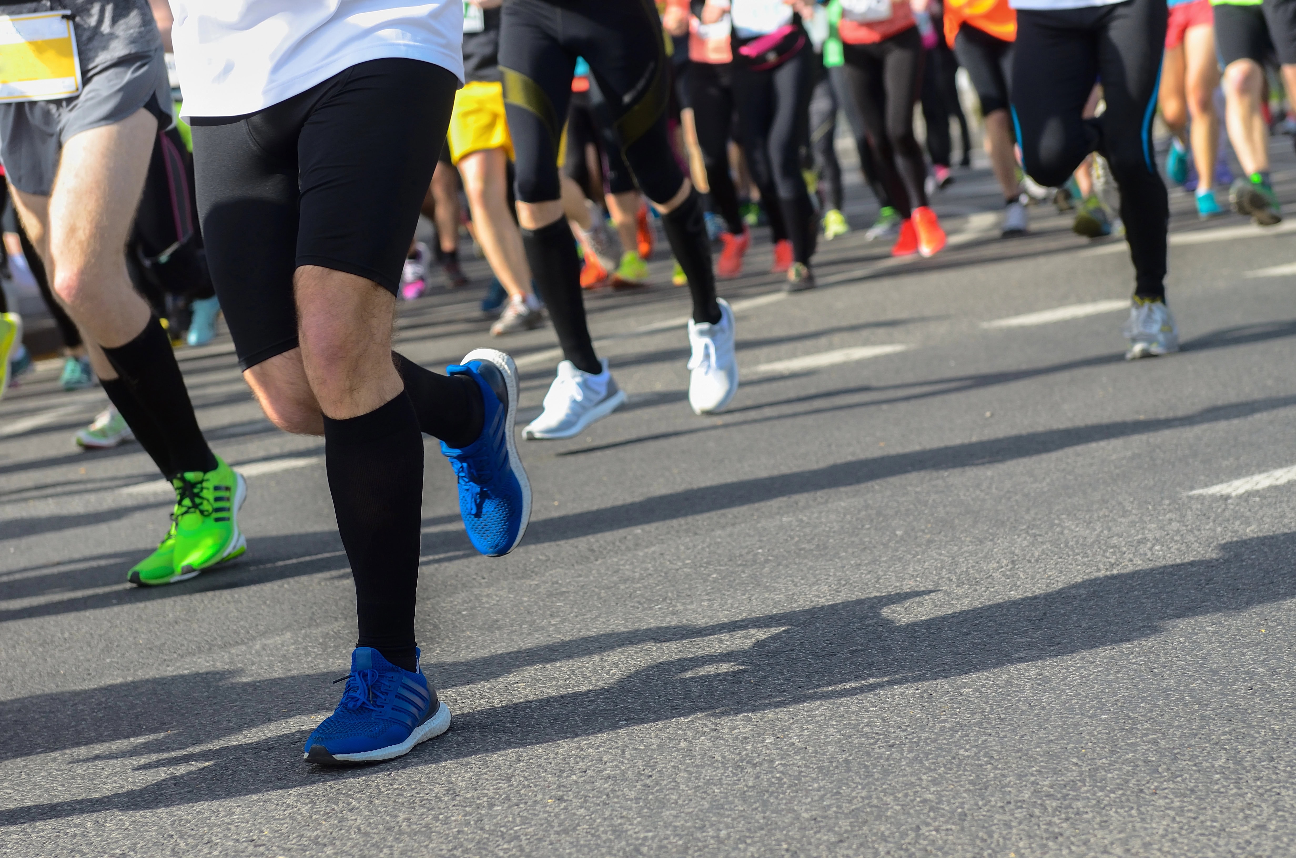 Middlesex County NJ Events Calendar - More Jersey