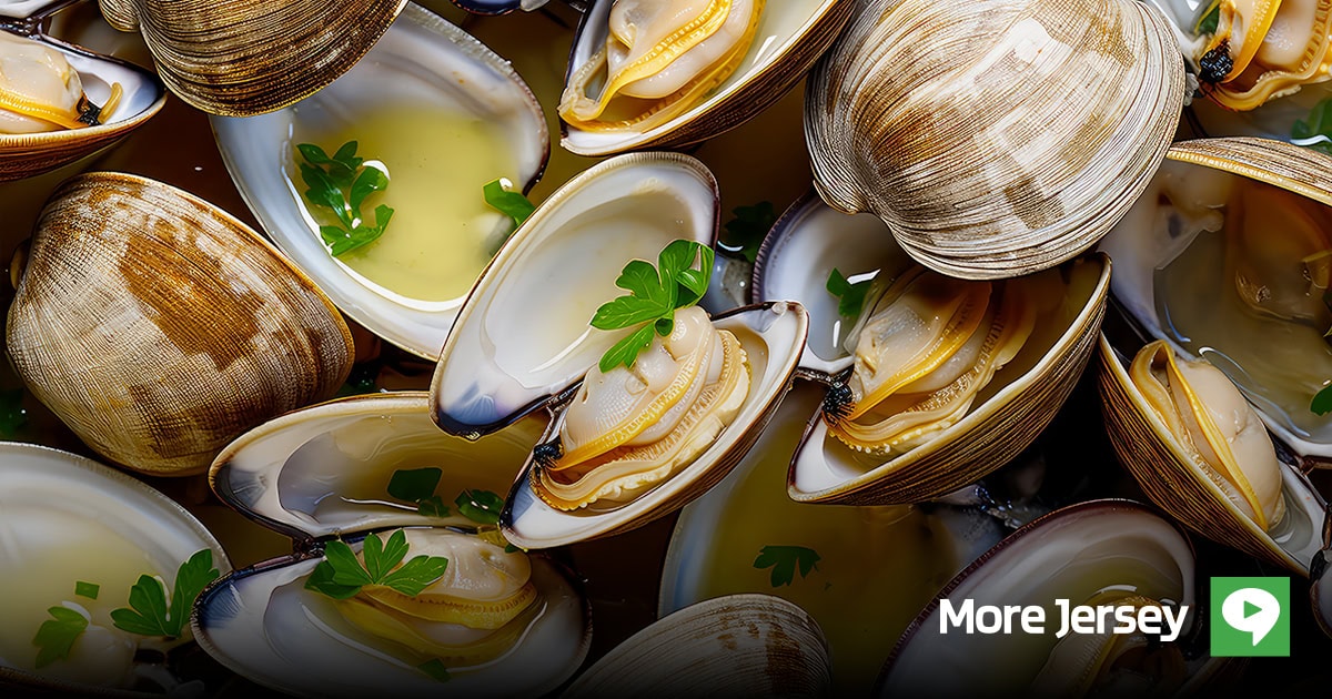 Annual Clam Festival - More Jersey: NJ Events Calendar